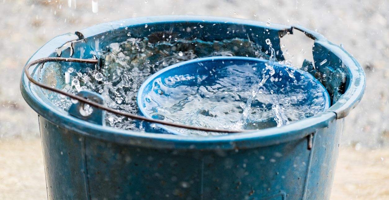 Waarom het belangrijk is om nu een bakje met water in de tuin te zetten ...