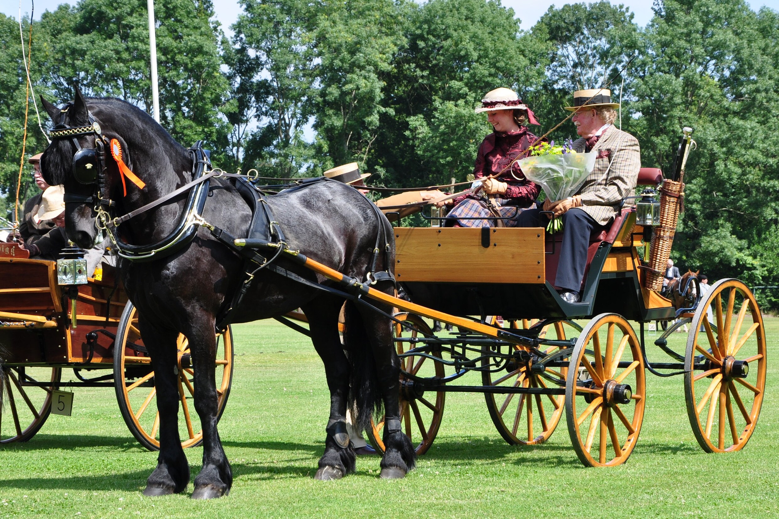 Oogstdag in Holthone | Libelle