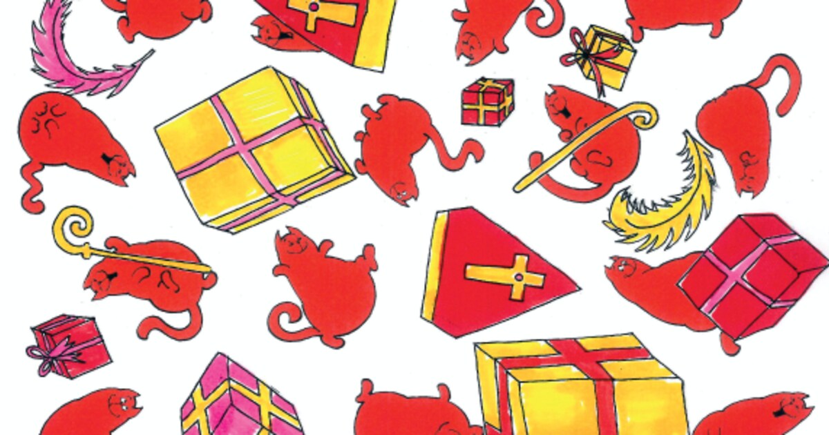 3x Goede doelen voor Sinterklaas - Libelle.nl