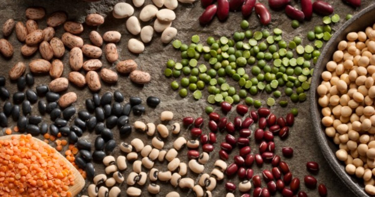 Libelle Legt Uit: wat is het verschil tussen groene, bruine en rode ...