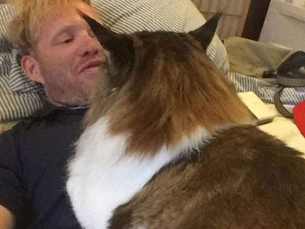 Grootste Kat Ter Wereld De Singapura: Karakter, Kenmerken En