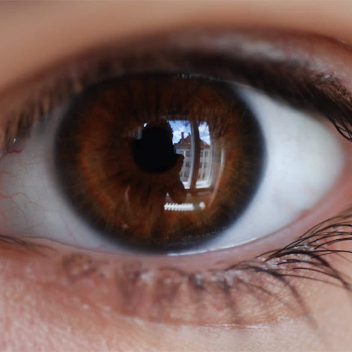 Mooiste Bruine Ogen Make Up Tips Voor Bruine Ogen | Curvacious.nl