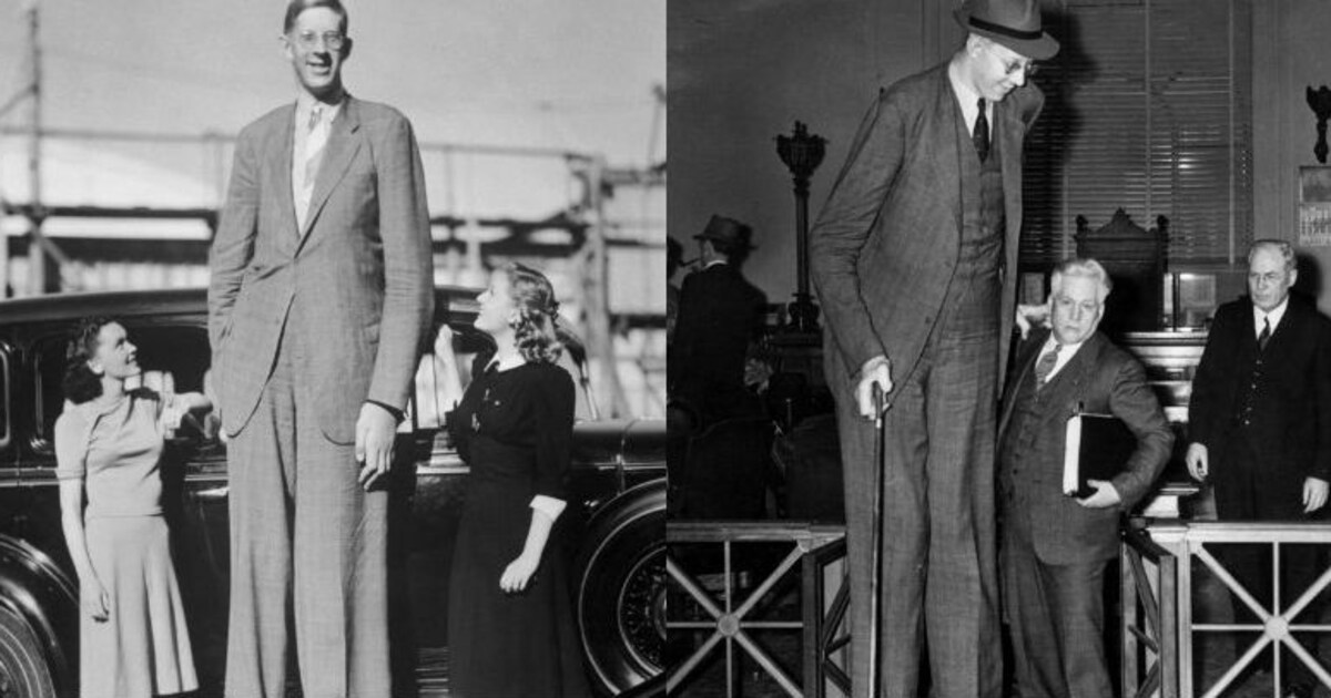 Er was iets speciaals met de langste man ter wereld | Libelle