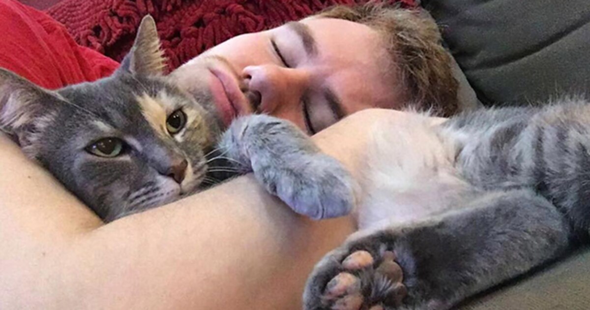 Sam kon geen date vinden voor zijn gala (en nam daarom zijn kat mee ...