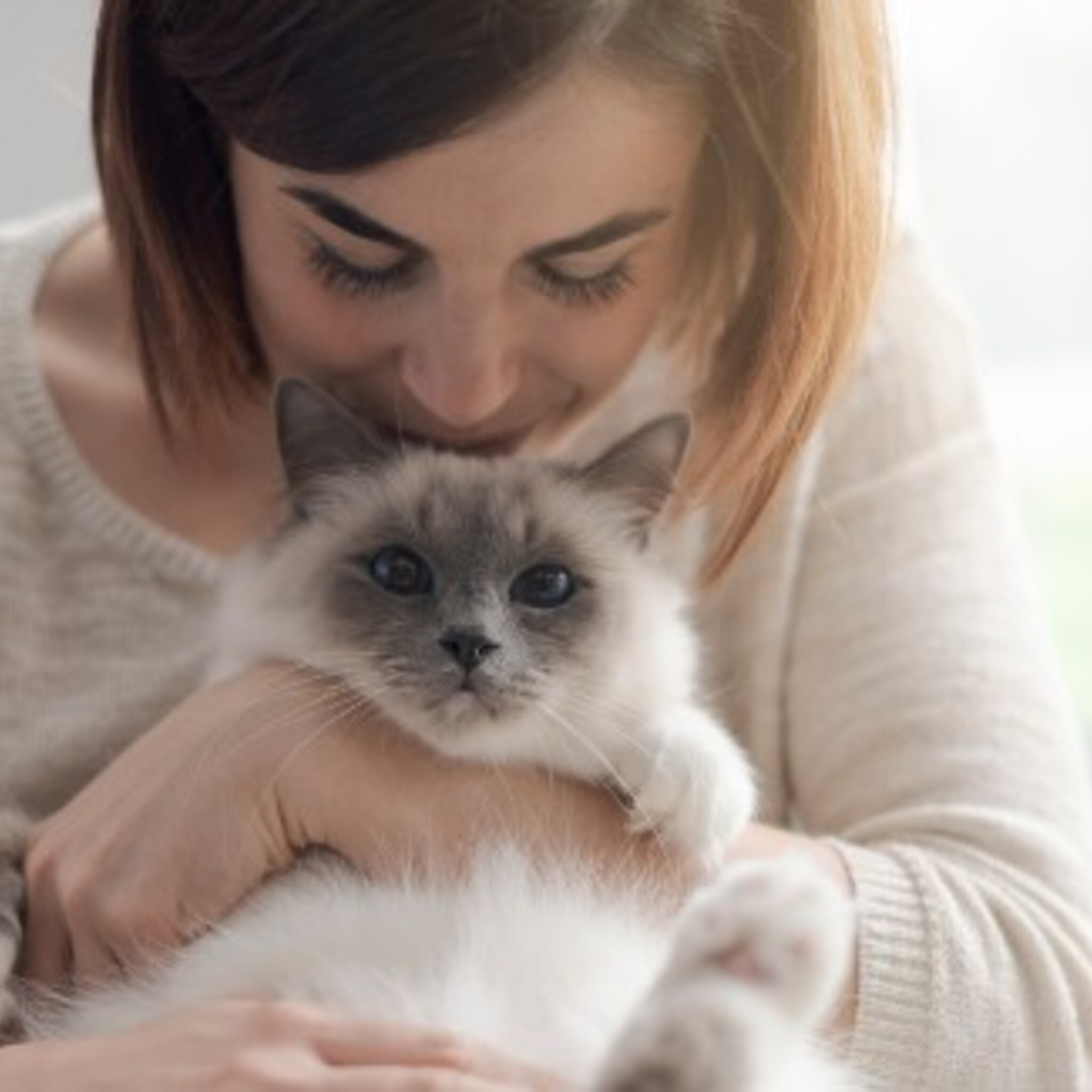 Echte liefde: 6 tekenen dat je kat dol op jou is
