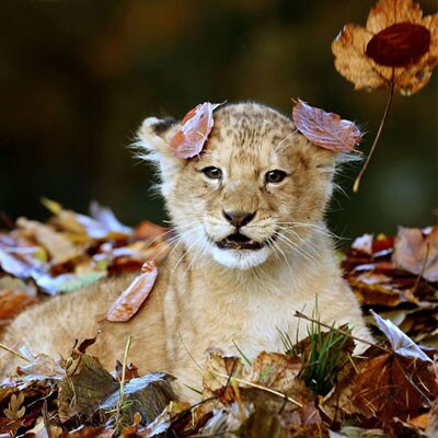 Leuke weekend plaatjes! | Libelle