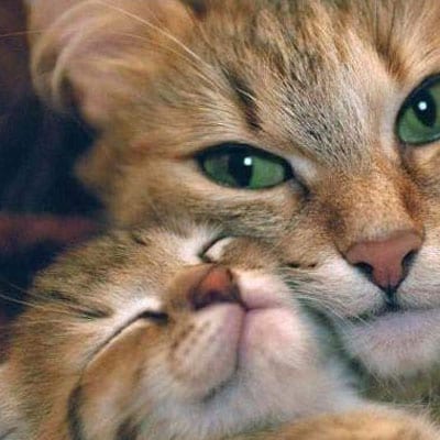 Leuke weekend plaatjes! - Libelle.nl