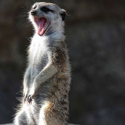 Leuke weekend plaatjes! | Libelle