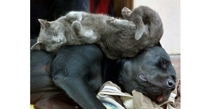 Leuke weekend plaatjes! | Libelle