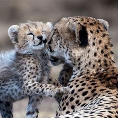 Leuke weekend plaatjes! | Libelle