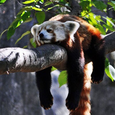 Leuke weekend plaatjes! | Libelle