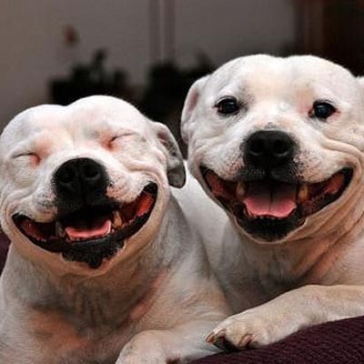 Leuke weekend plaatjes! - Libelle.nl