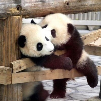 Leuke weekend plaatjes! | Libelle