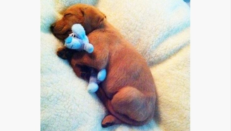 Leuke weekend plaatjes! | Libelle