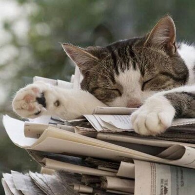 Leuke weekend plaatjes! | Libelle