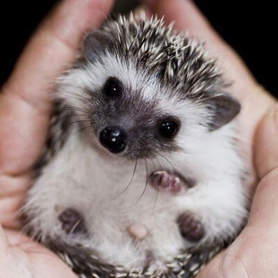 Leuke weekend plaatjes! | Libelle