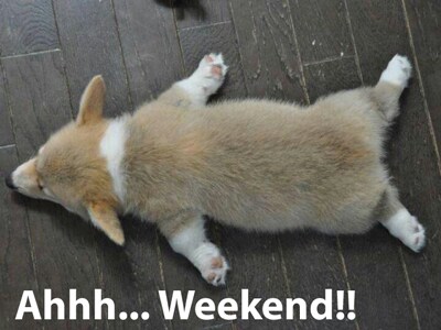 Leuke weekend plaatjes! | Libelle