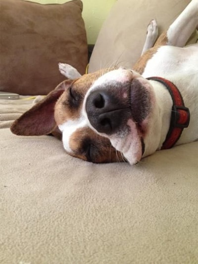 Leuke weekend plaatjes! | Libelle