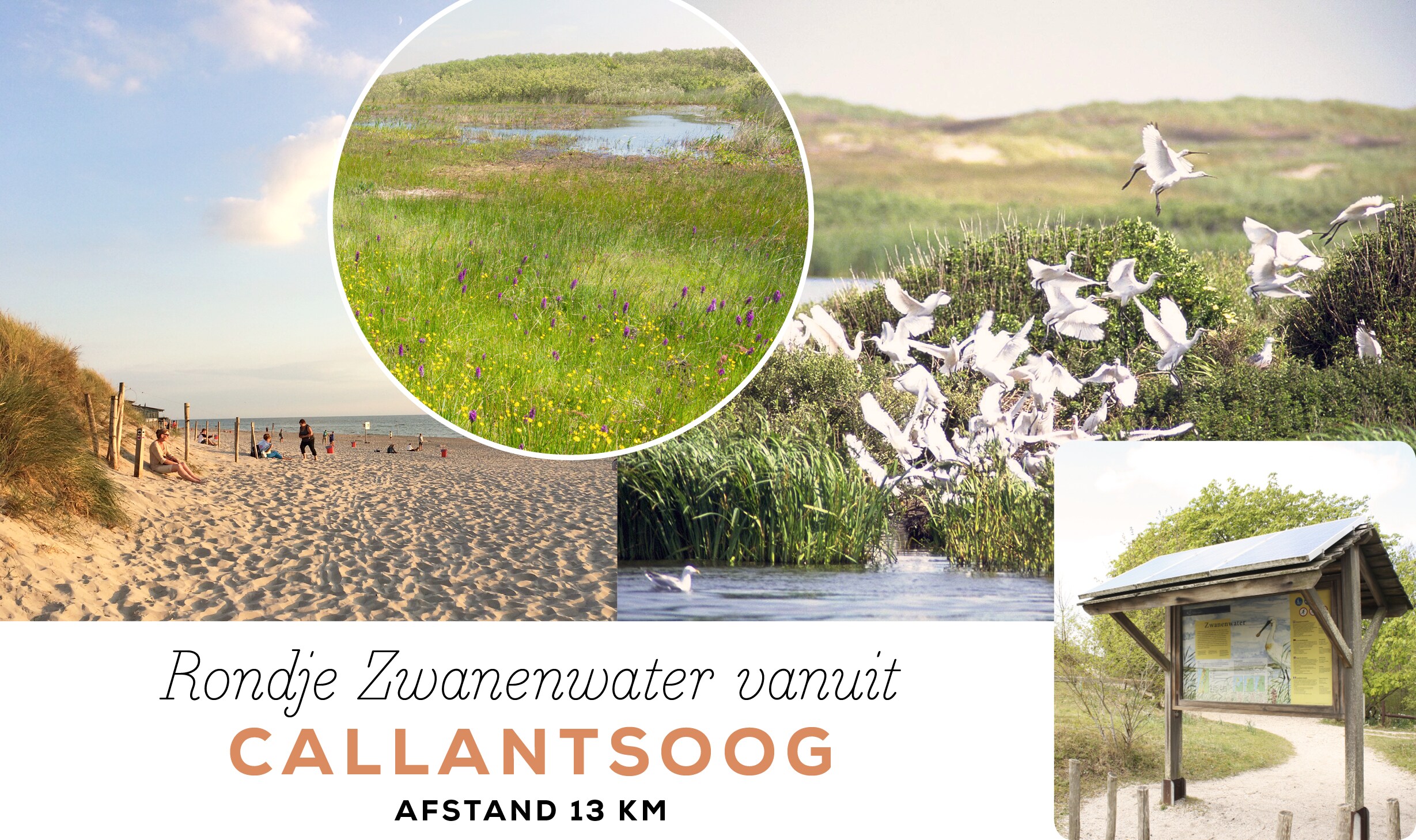 5x wandelen langs duinen en strand met de zon in je rug | Libelle