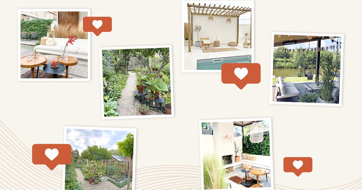 Huisje, boompje, INSTA TUIN | Libelle