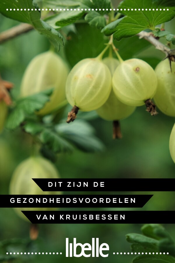 Alles over kruisbessen: zó gezond is dit friszure fruit | Libelle