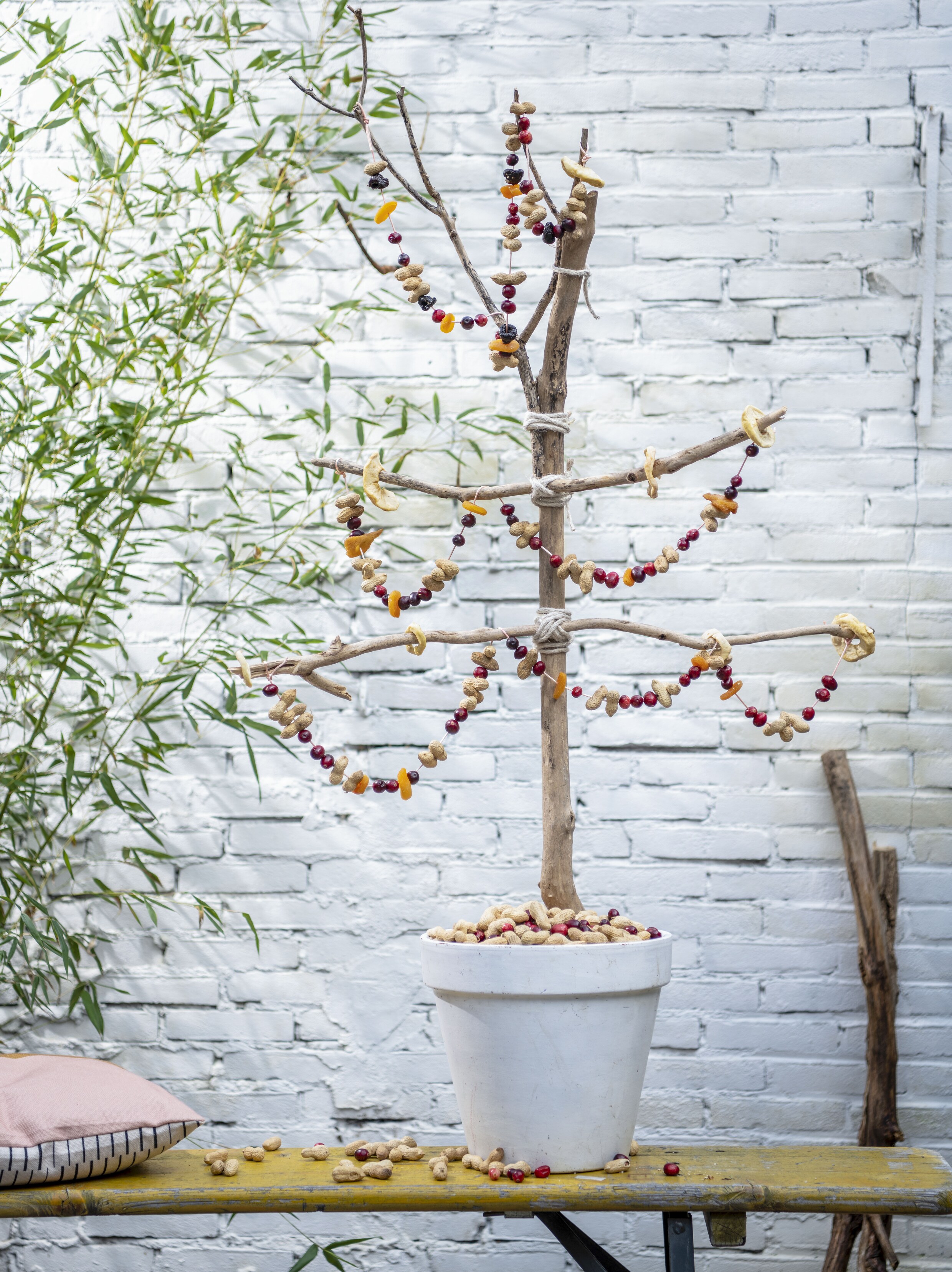 Het vliegend buffet is geopend: van taart tot popcornslinger, snacks ...