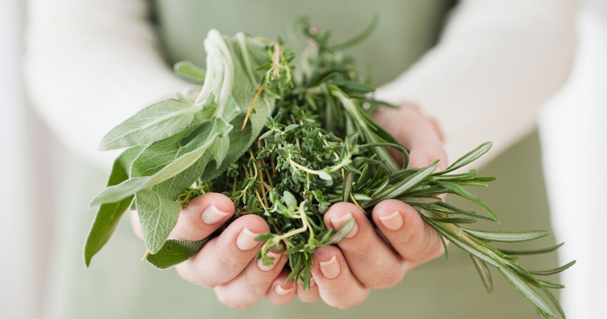 Deze groene blaadjes bevatten de meeste voedingsstoffen