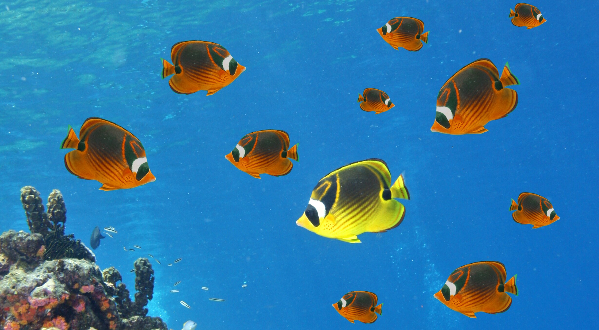 Als je je een buitenbeentje voelt: “Het lijkt soms alsof ik van een andere planeet kom” | Libelle