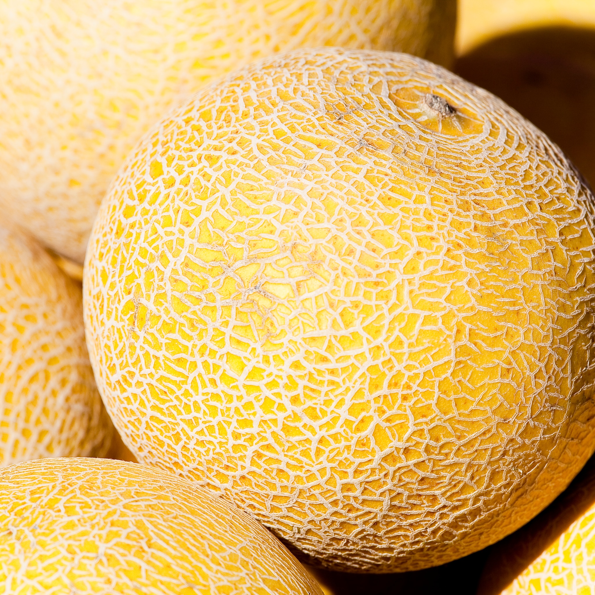 De gyozasalade is de nieuwe foodtrend en zó maak je hem zelf