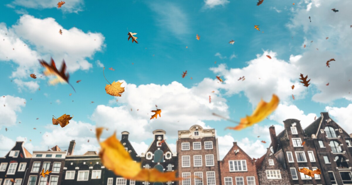 De herfst gaat deze week van start, maar wordt het ook herfstweer? | Libelle