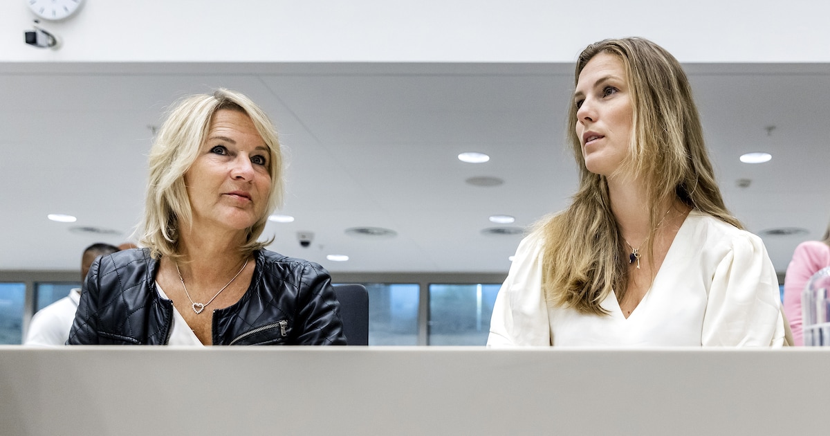 Ex-vrouw eert Peter R. de Vries met schilderij: "Het was een helend ...