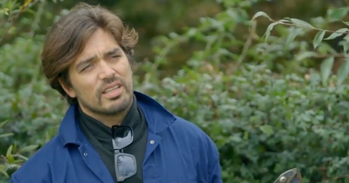 Kijkers ‘Boerderij Van Dorst’ hebben geen medelijden met Waylon en zijn ...