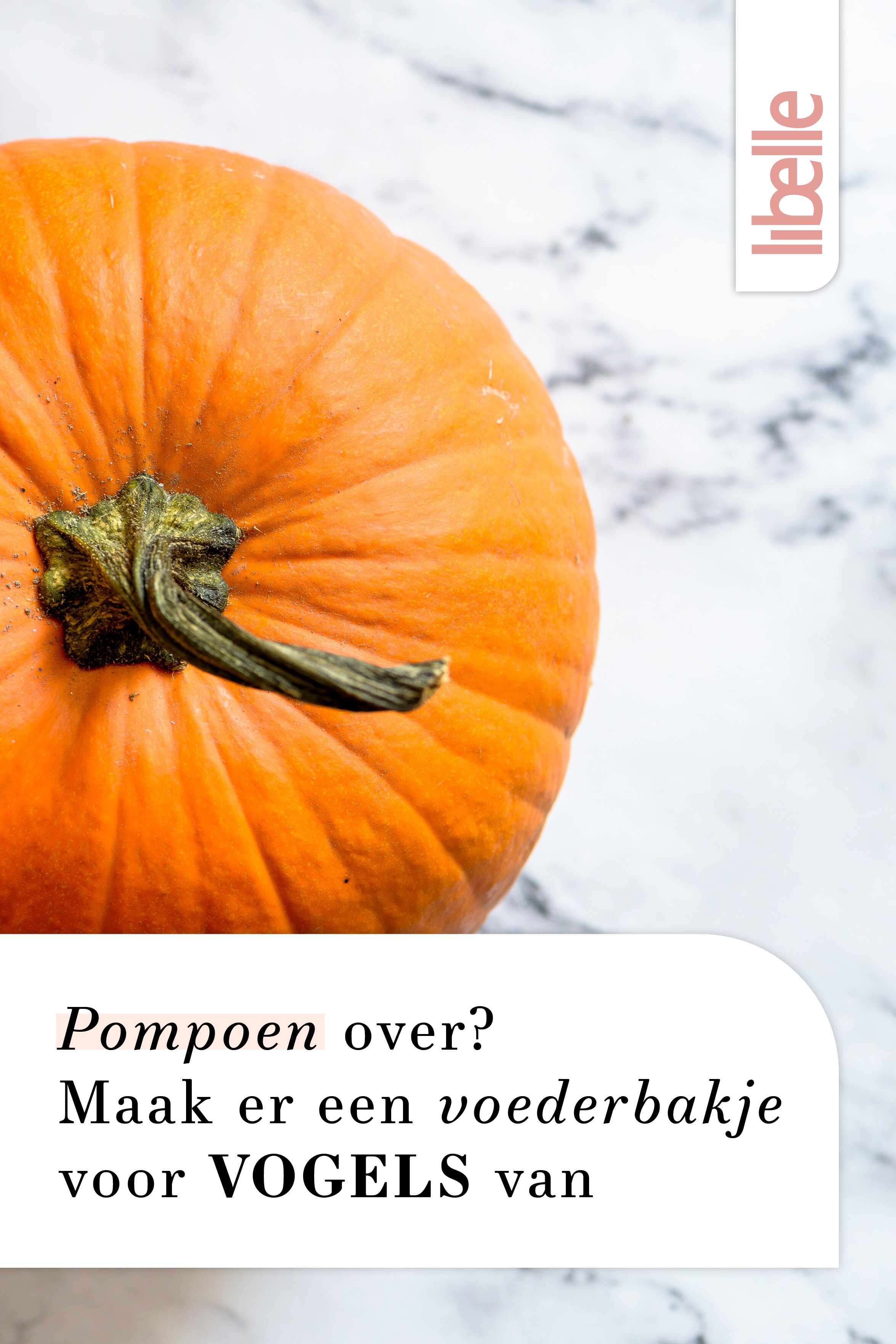 Pompoen over? Maak er een voederbakje voor vogels van | Libelle