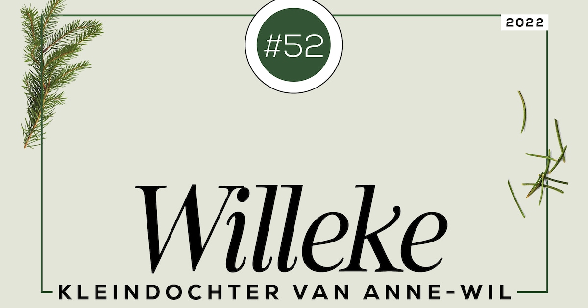Dagboek van Willeke: “Robert zegt dat mensen niet snappen wat hij met ...