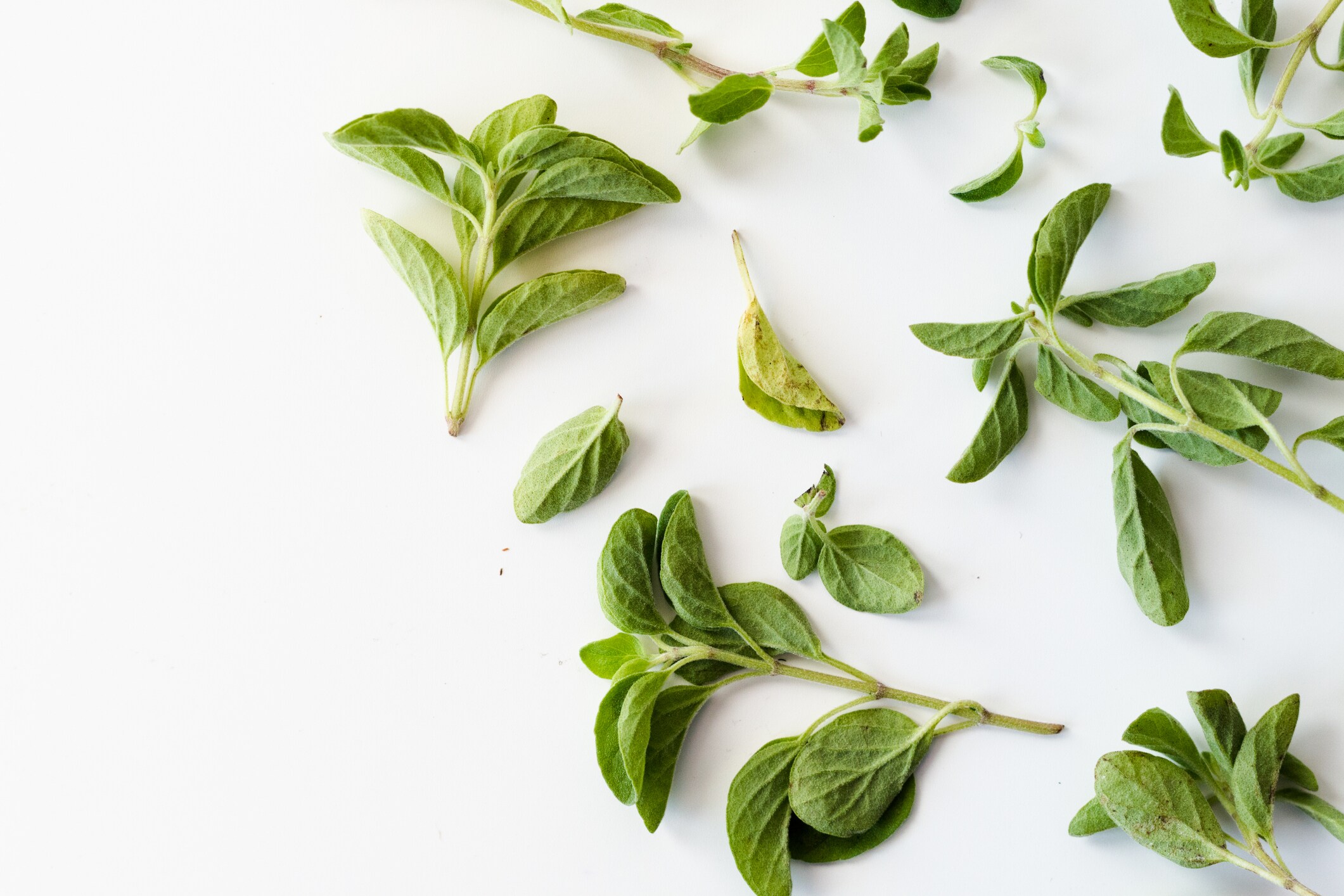 Verrassend maar érg effectief: hoe oregano kan zorgen voor een mooiere ...