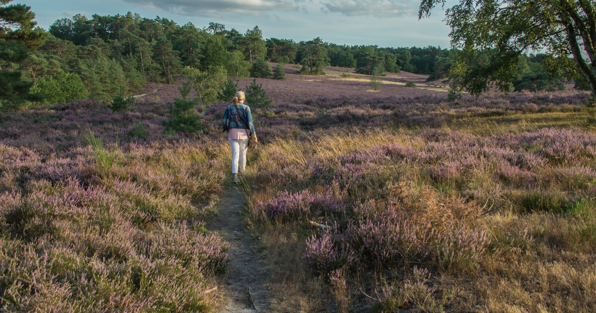 Dit is het mooiste wandelpad van de Benelux: "Je bent echt even in de ...