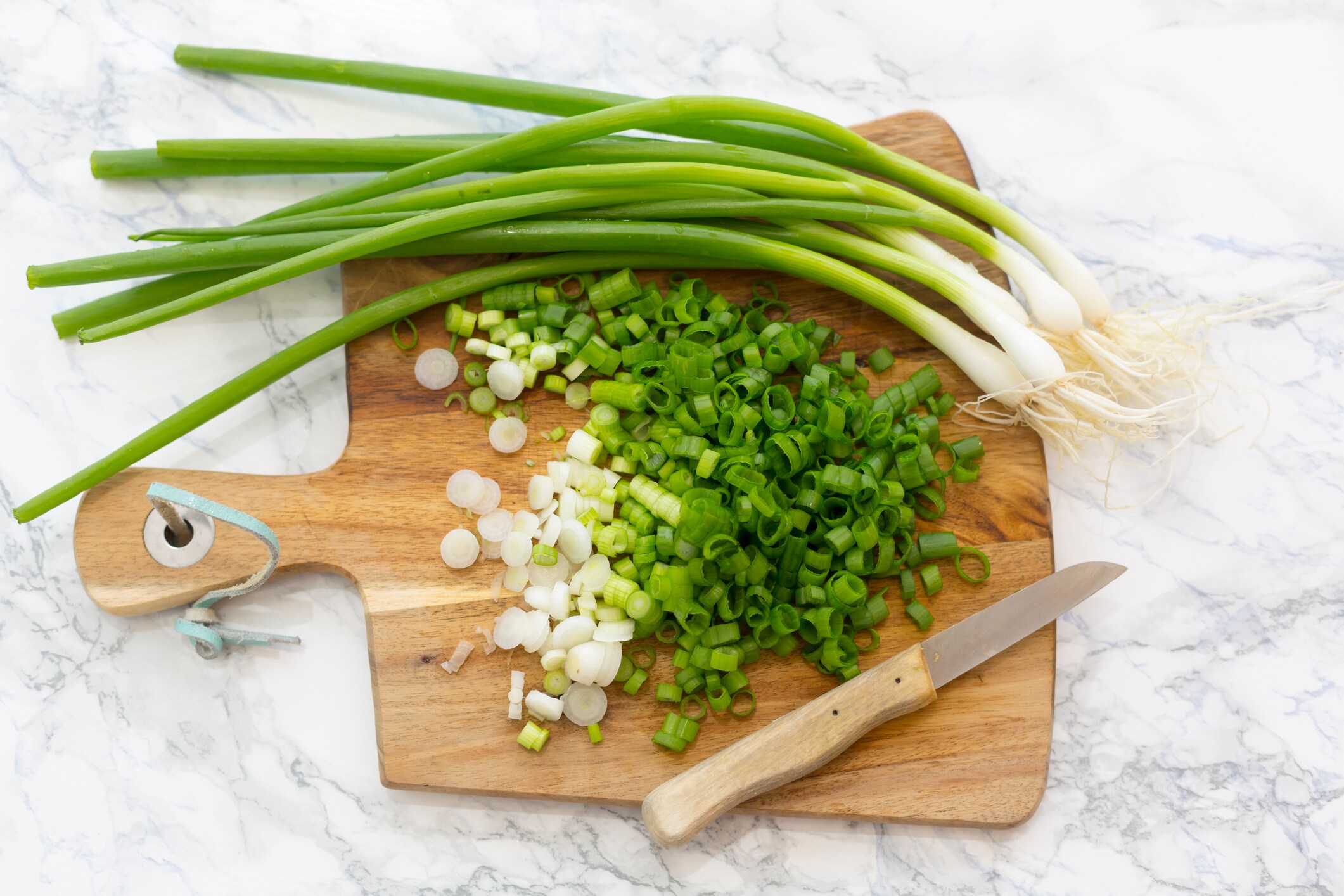 Zelf bosui kweken in je vensterbank? Zo doe je dat | Libelle