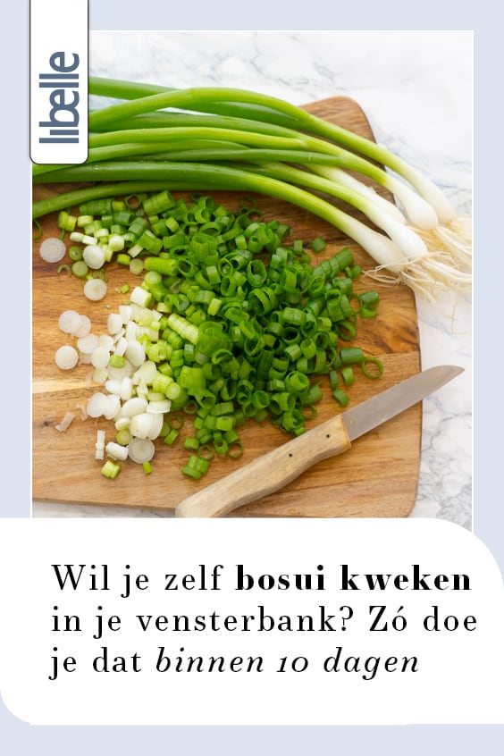 Zelf bosui kweken in je vensterbank? Zo doe je dat | Libelle