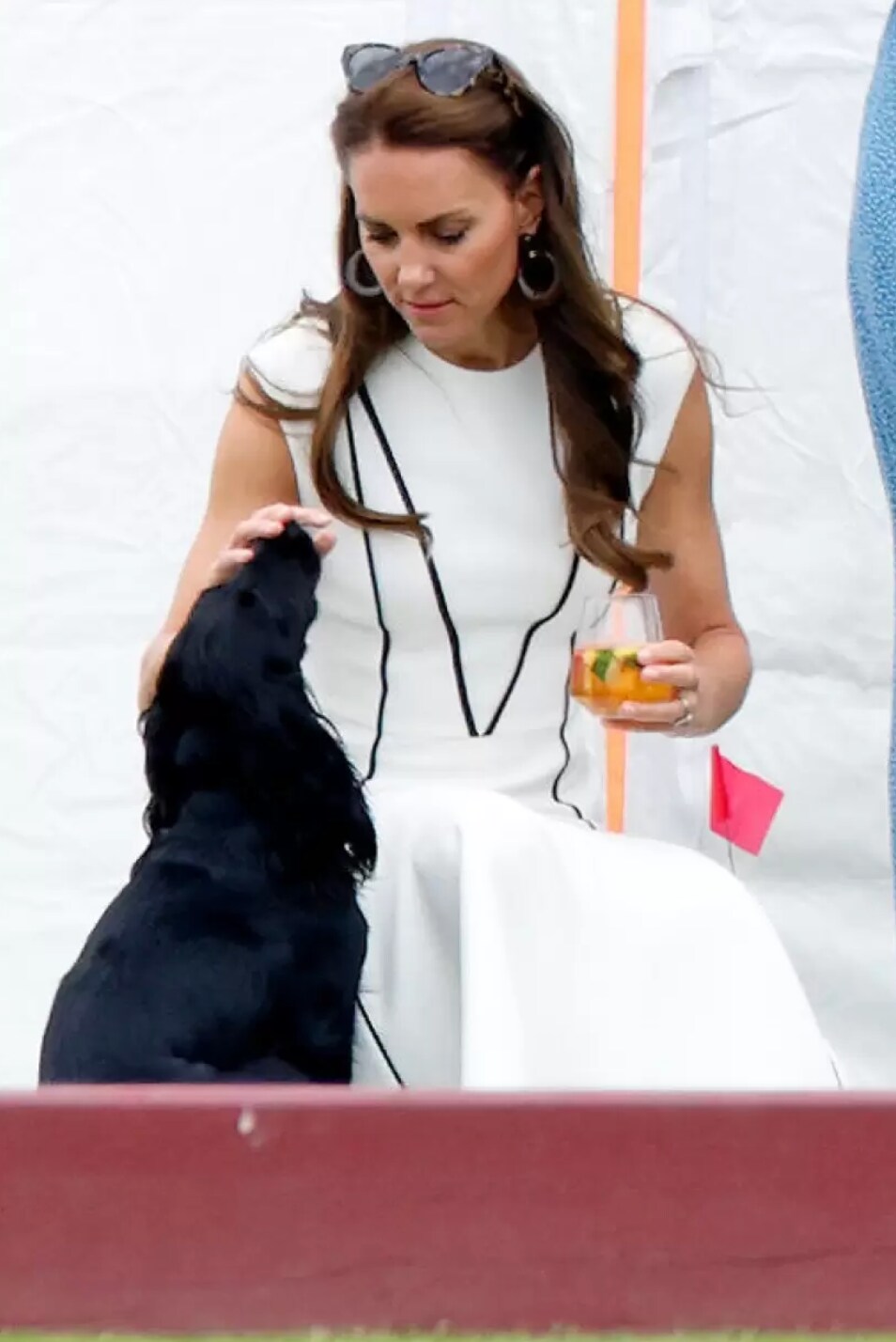 Kantoorhond? Déze royals nemen hun hond ook mee naar het werk | Libelle