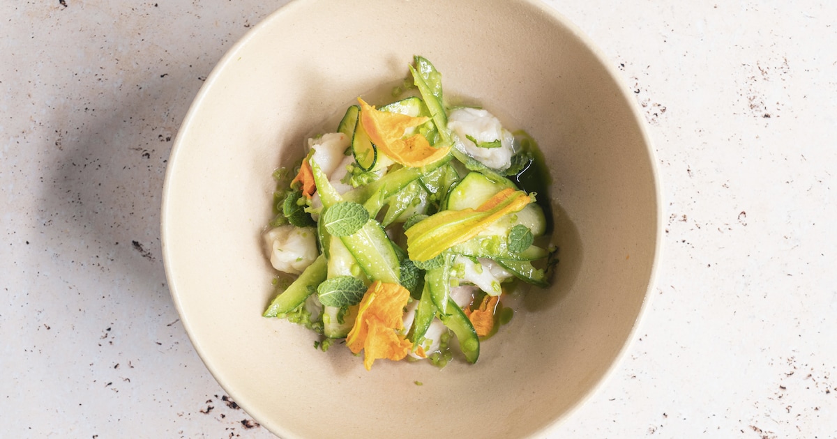 Recept voor ceviche: frisse heek met limoen & courgette | Libelle