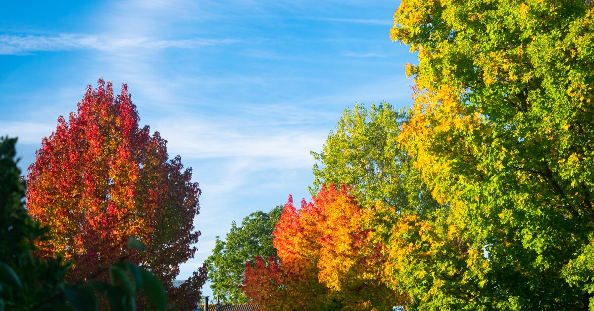 Dít is waarom we niet te veel van de nazomer moeten verwachten | Libelle