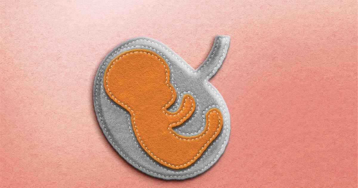 Veelbelovend onderzoek: eerste embryo gemaakt zónder eicel en zaadcel ...