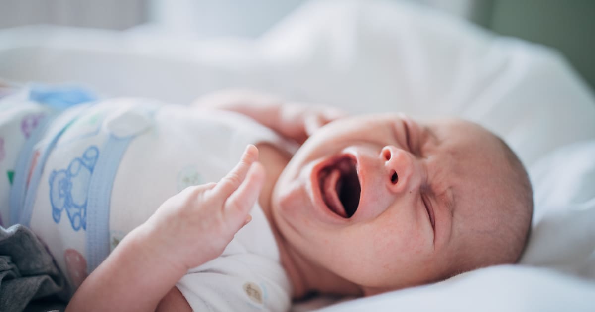 Waarom kunnen sommige mensen véél slechter tegen het geluid van ...