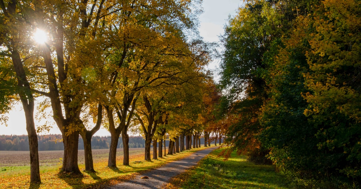 Elk nadeel heeft zijn voordeel: orkaan Nigel zorgt voor een prachtige ...