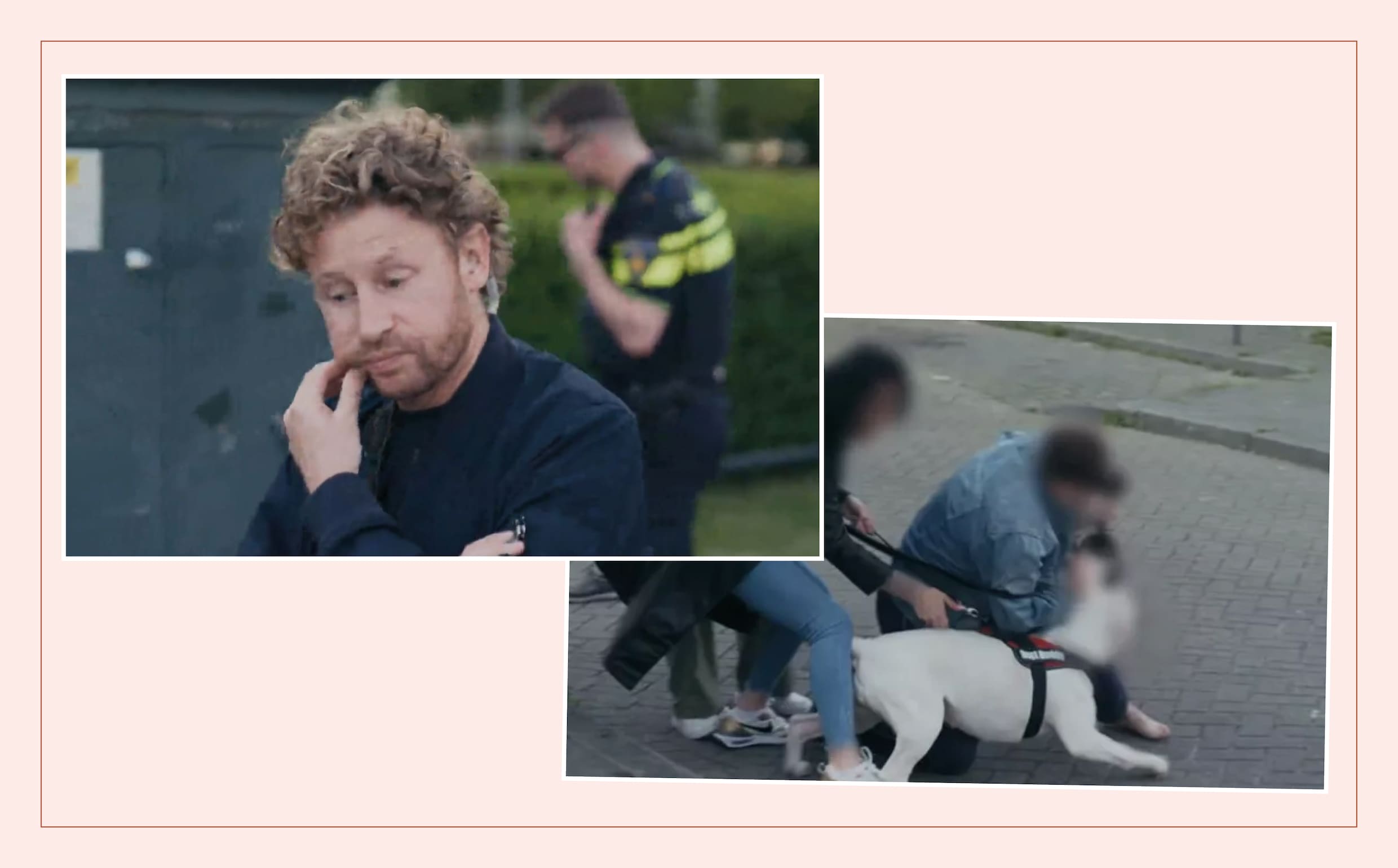 Baasje van hond die chihuahua Jessy doodbeet in ‘Bureau Rotterdam deelt ...