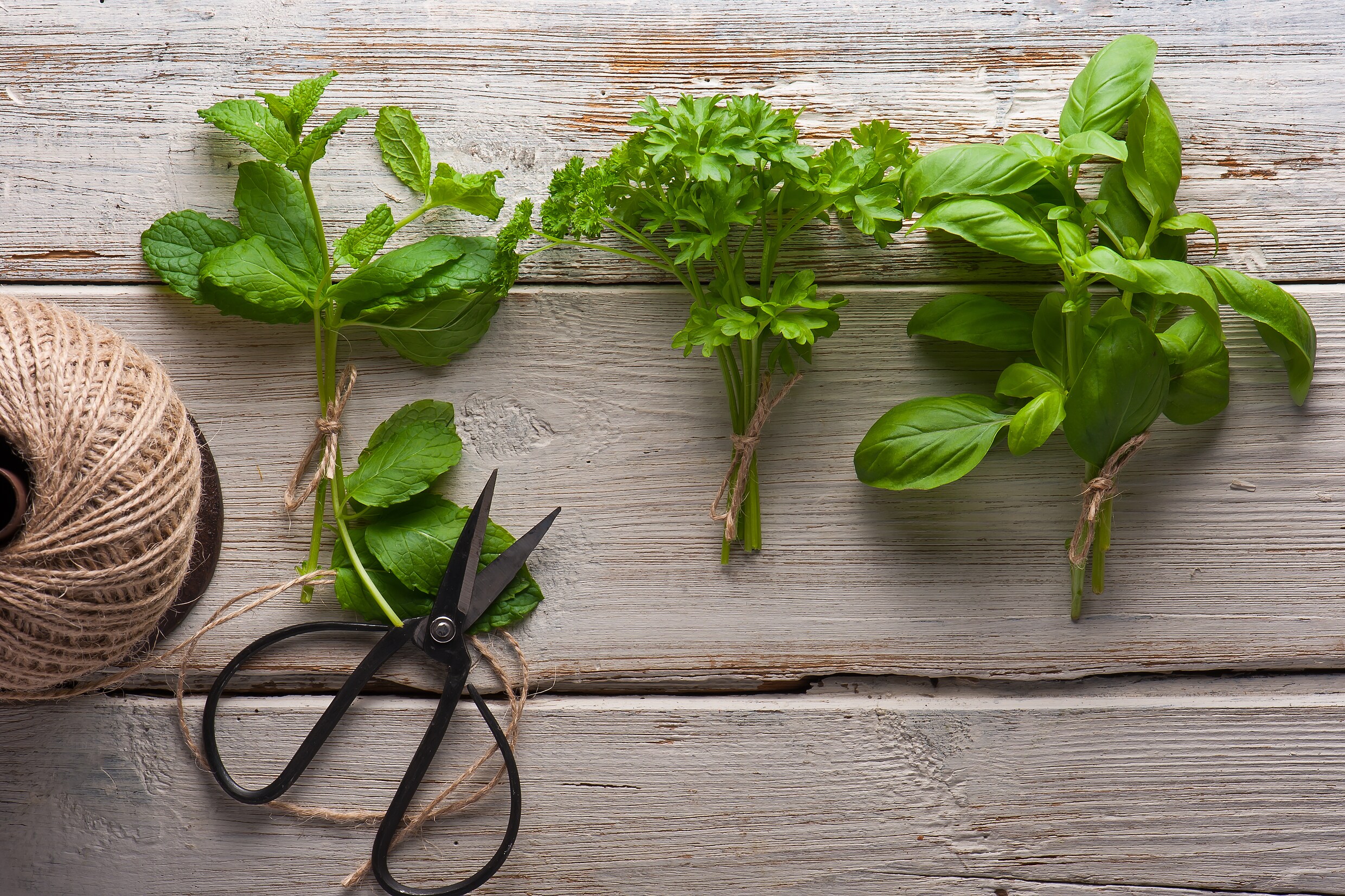 Wat is gezonder: verse of gedroogde kruiden? | Libelle