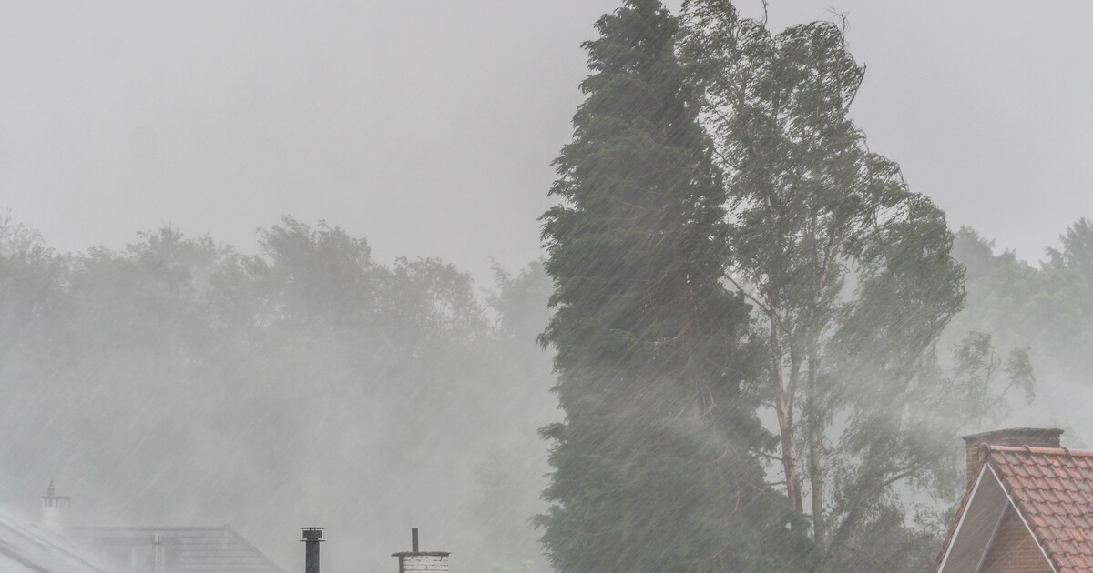 KNMI roept op om thuis te werken vanwege storm Ciarán: ‘Code donkergeel’