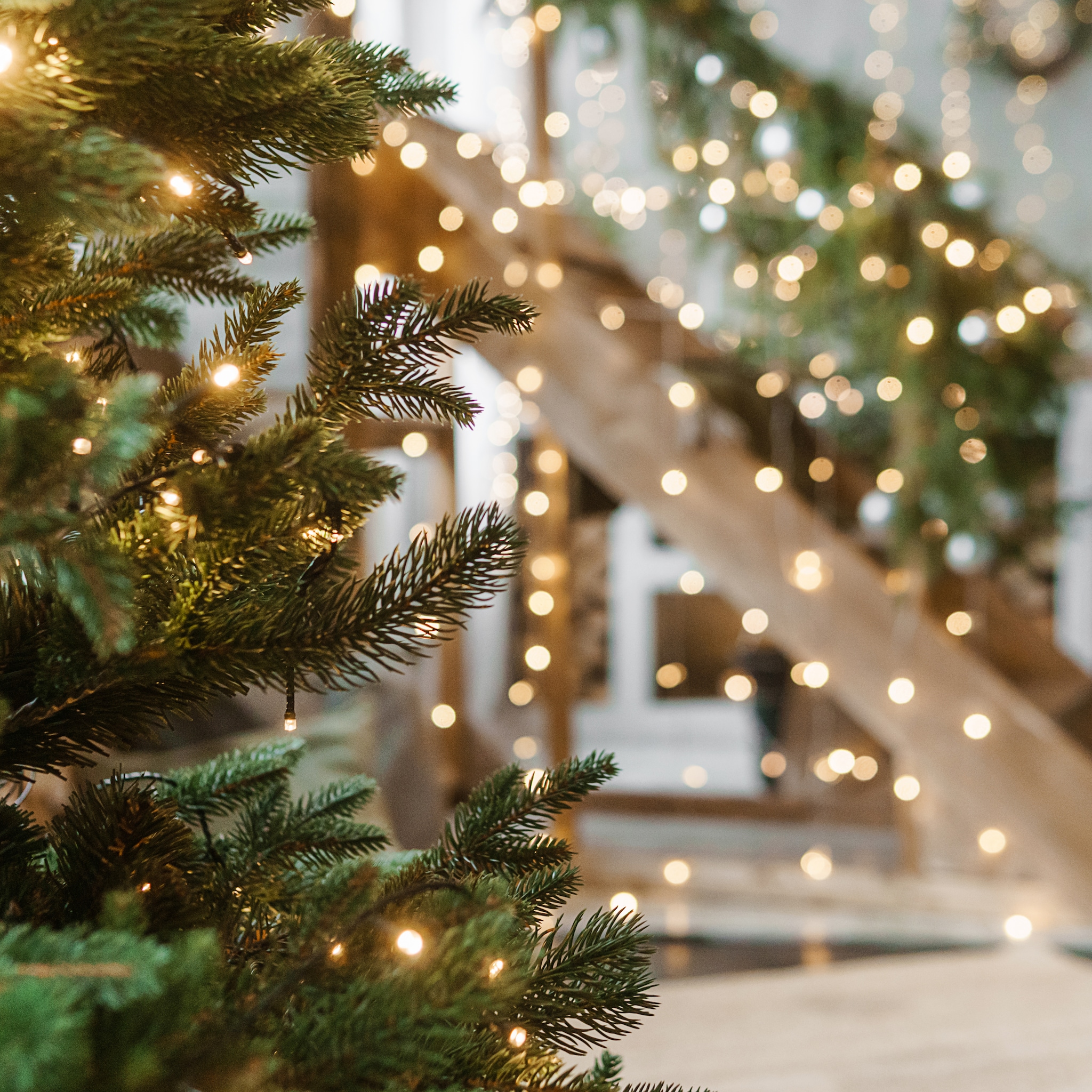 De kerstbomen van BN’ers: van hysterisch tot beeldschoon