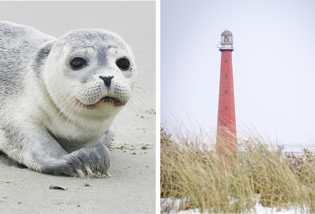 Déze natuurgebieden aan de kust moet je gezien hebben | Libelle