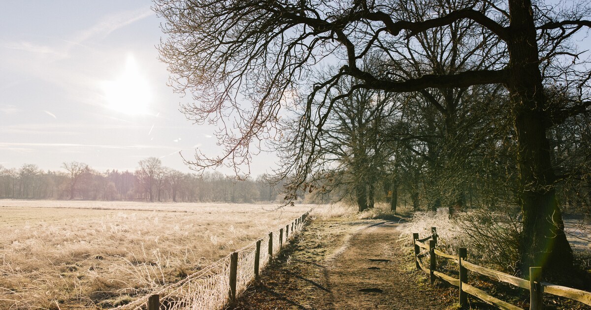 Dít vertelt de gevoelstemperatuur over hoe warm of koud het wordt | Libelle